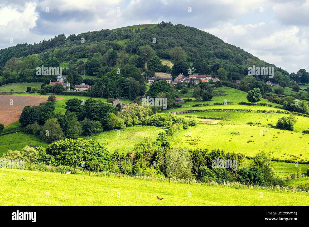 Farms in North York Moors National Park, Yorkshire, England Stock Photo ...