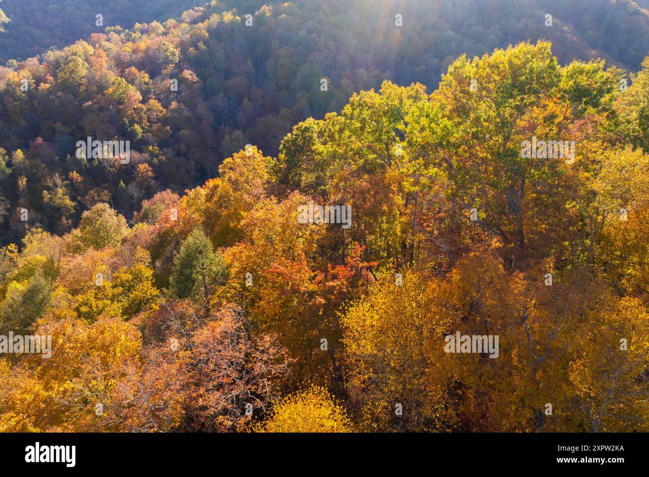 Sunset landscape of Appalachian mountains woods nature in fall season ...