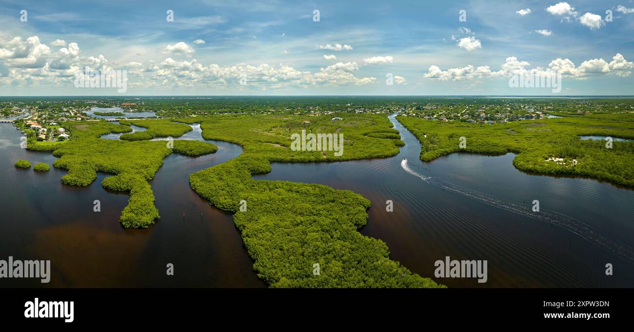 View from above of Florida everglades with green vegetation between ...