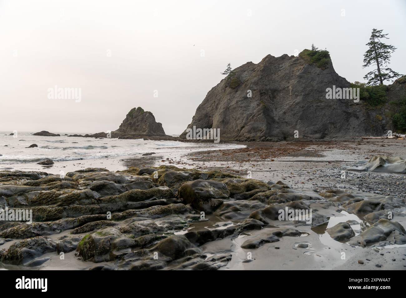 A beautiful view of giant rocks and ocean at Rialto Beach on a cloud ...