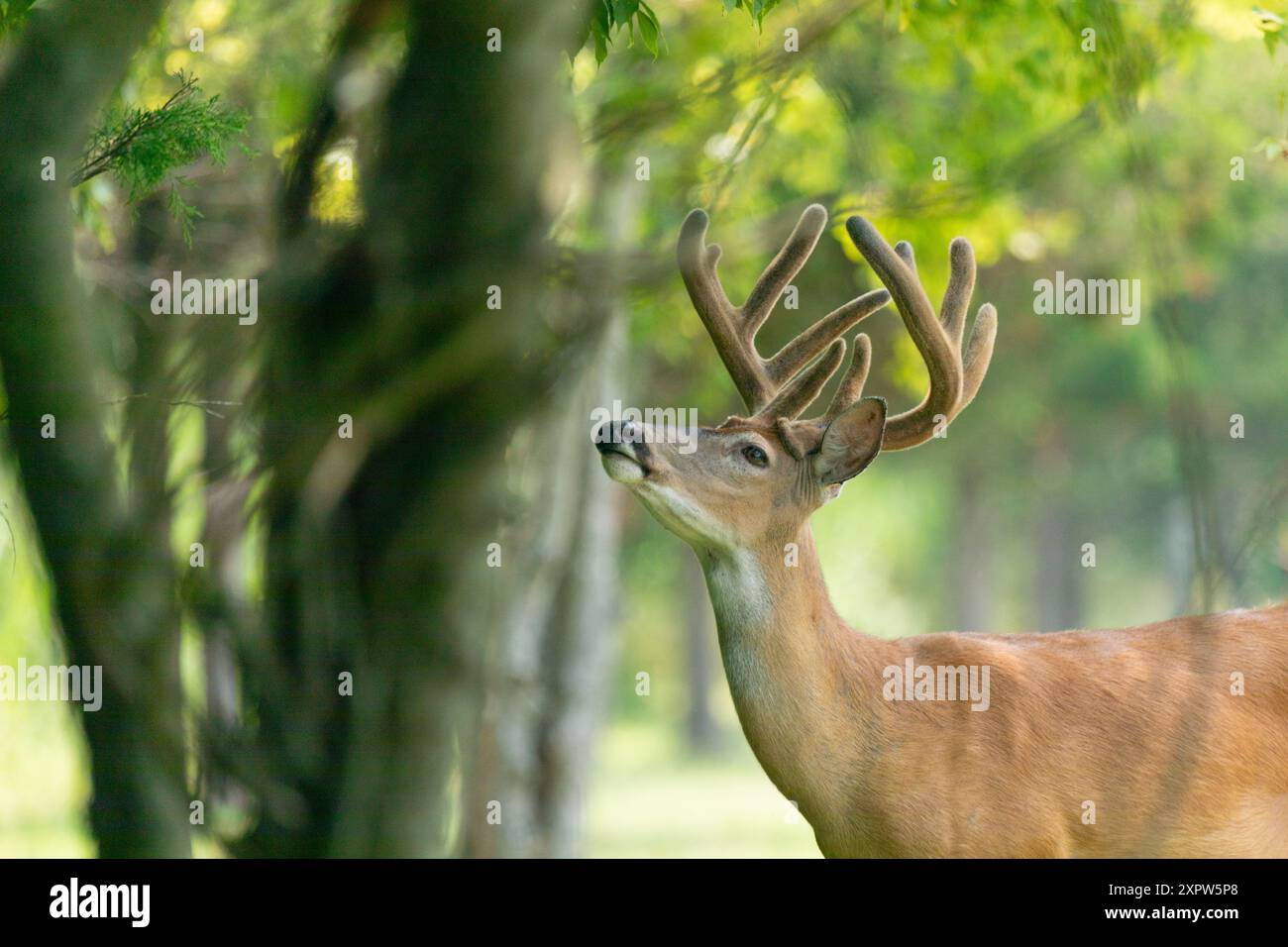Sandy hook point hi-res stock photography and images - Alamy