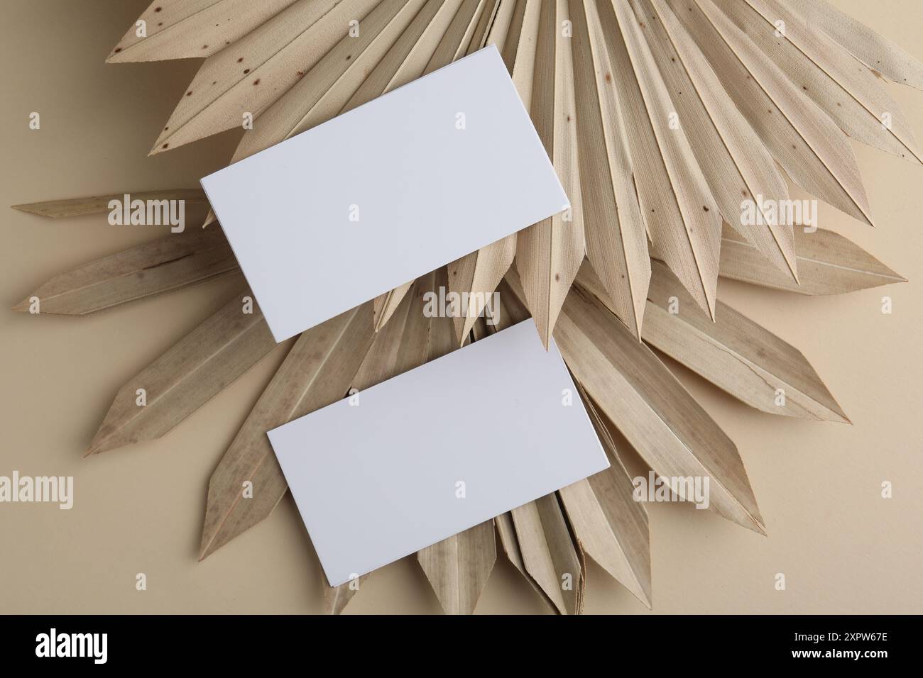 Blank business cards on beige background, flat lay. Mockup for design ...