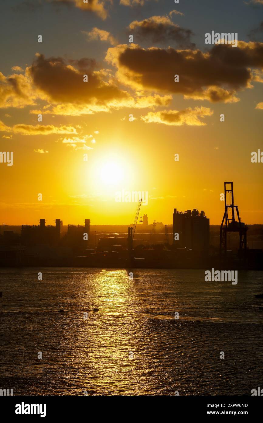 View of the Miami port, is magnificent buildings, cruise ships and the ...