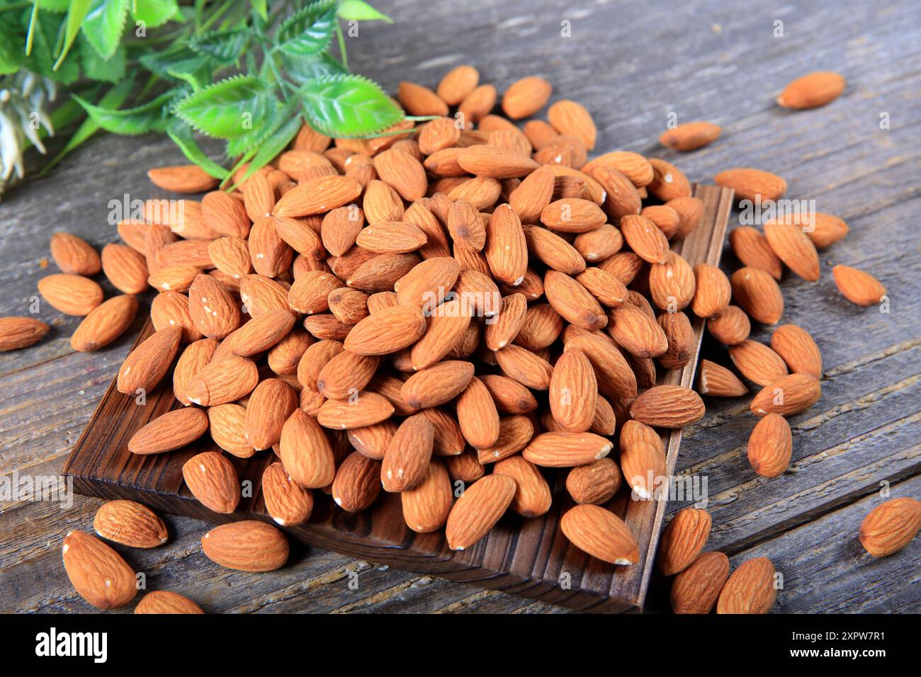 Large group of objects photos hi-res stock photography and images - Alamy