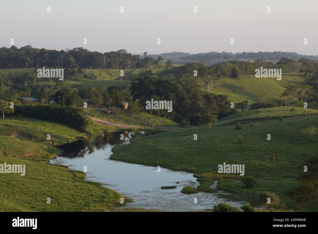 Caqueta colombia hi-res stock photography and images - Alamy