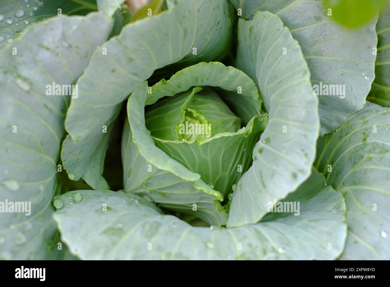 Rooftop shape hi-res stock photography and images - Alamy