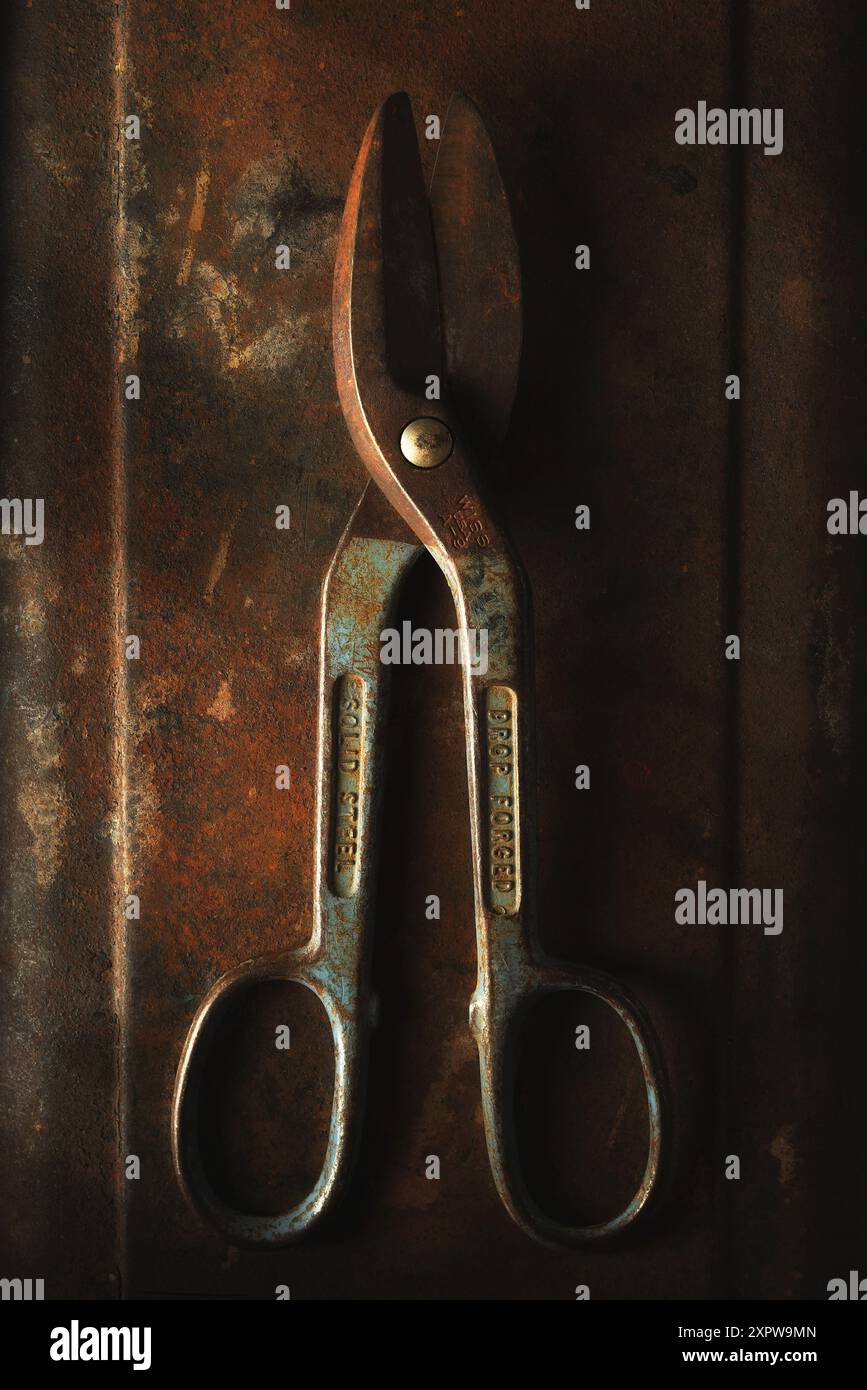 Metal Shears on Rusty Tool Box still life Stock Photo - Alamy