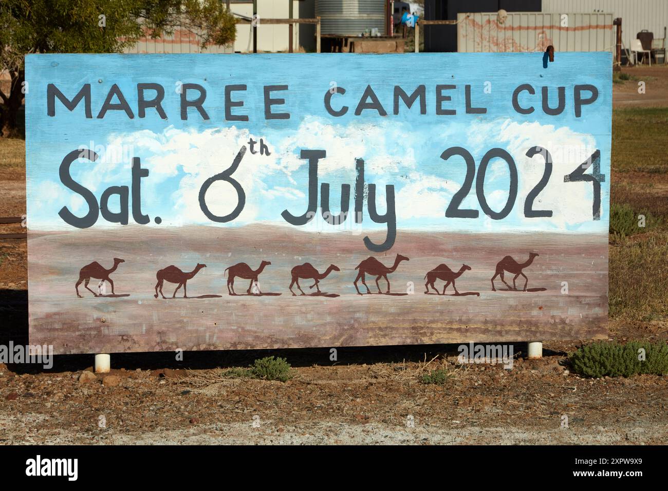 Camel race hi-res stock photography and images - Alamy