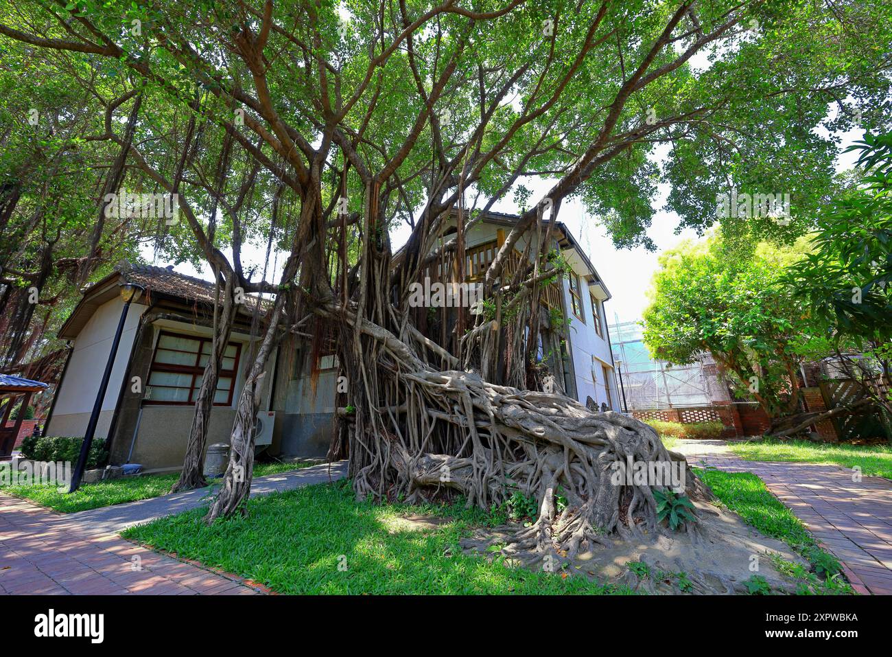 The calligrapher Zhu Jiuying house near banyan trees house at Gubao St ...