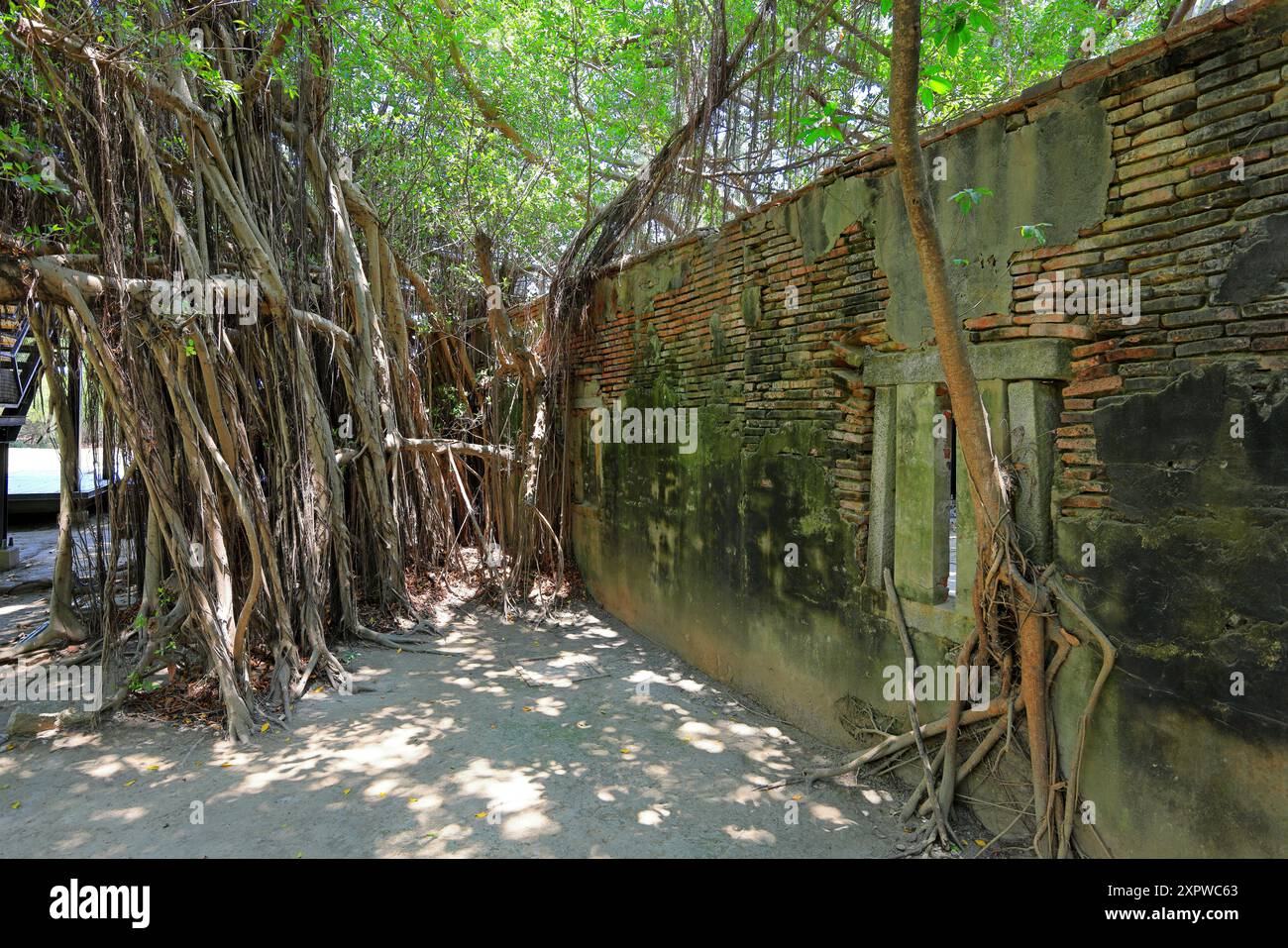 Anping Tree House, a former warehouse overgrown with banyan trees at ...