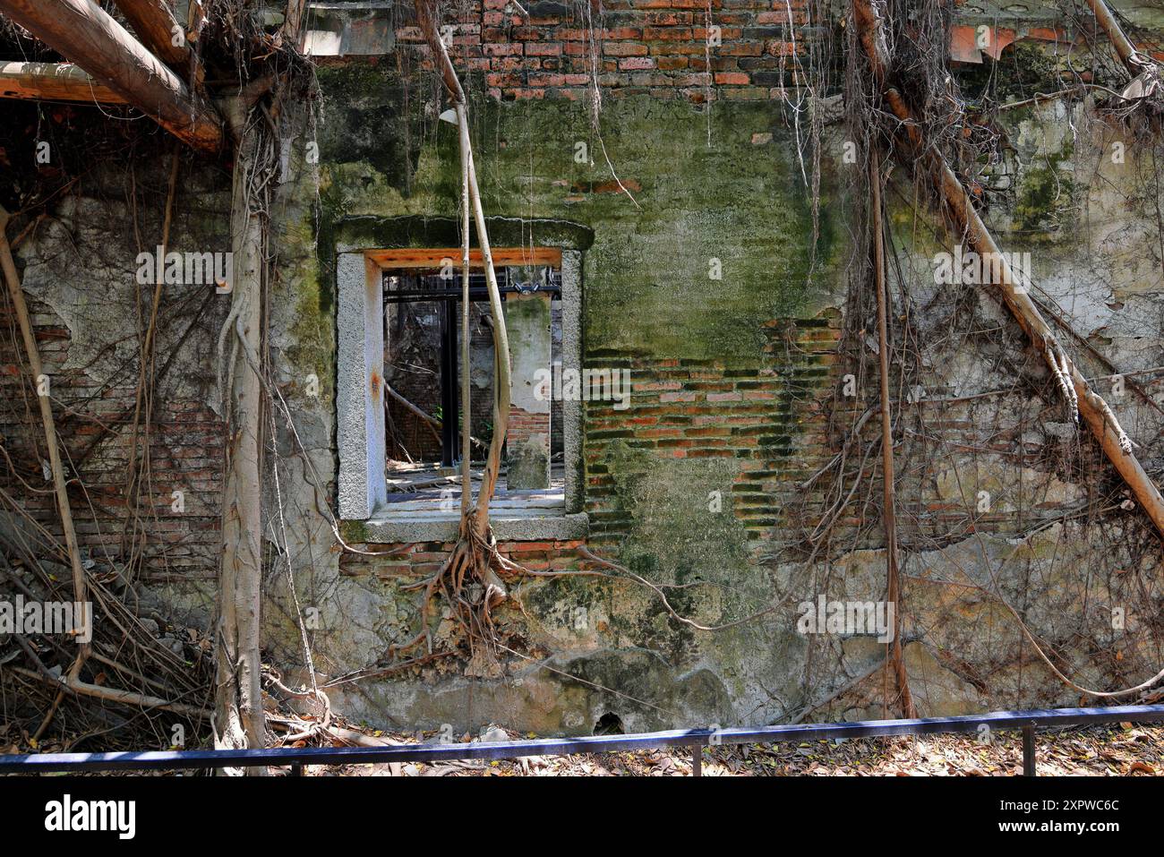 Anping Tree House, a former warehouse overgrown with banyan trees at ...