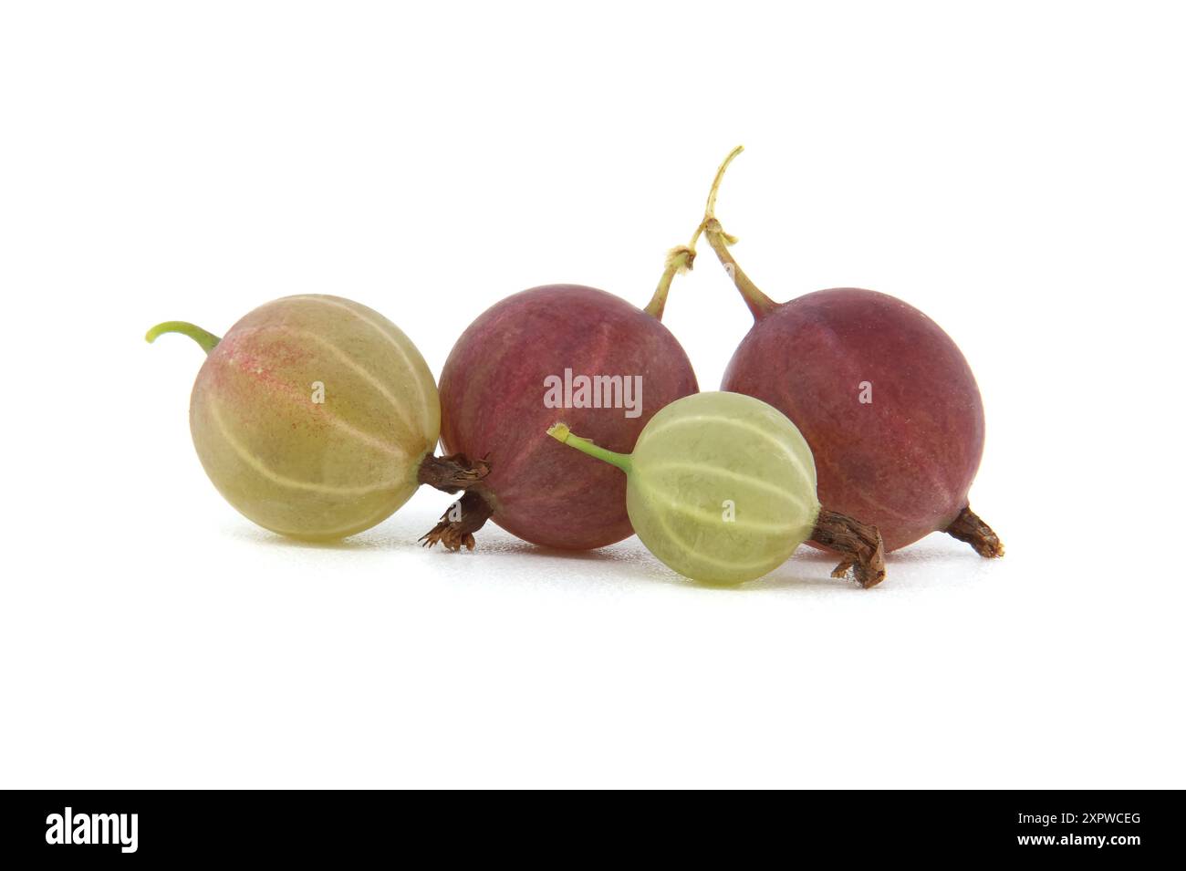 A detailed close-up image of ripe red and green gooseberries isolated ...