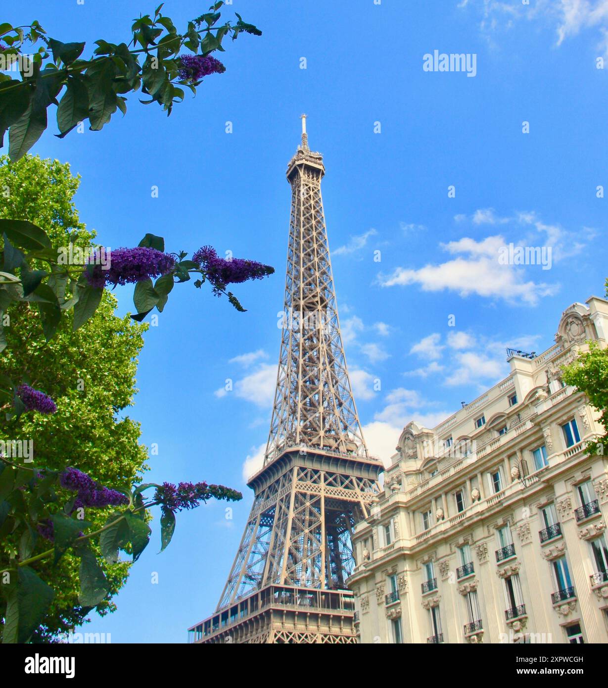 Summer in paris hi-res stock photography and images - Alamy