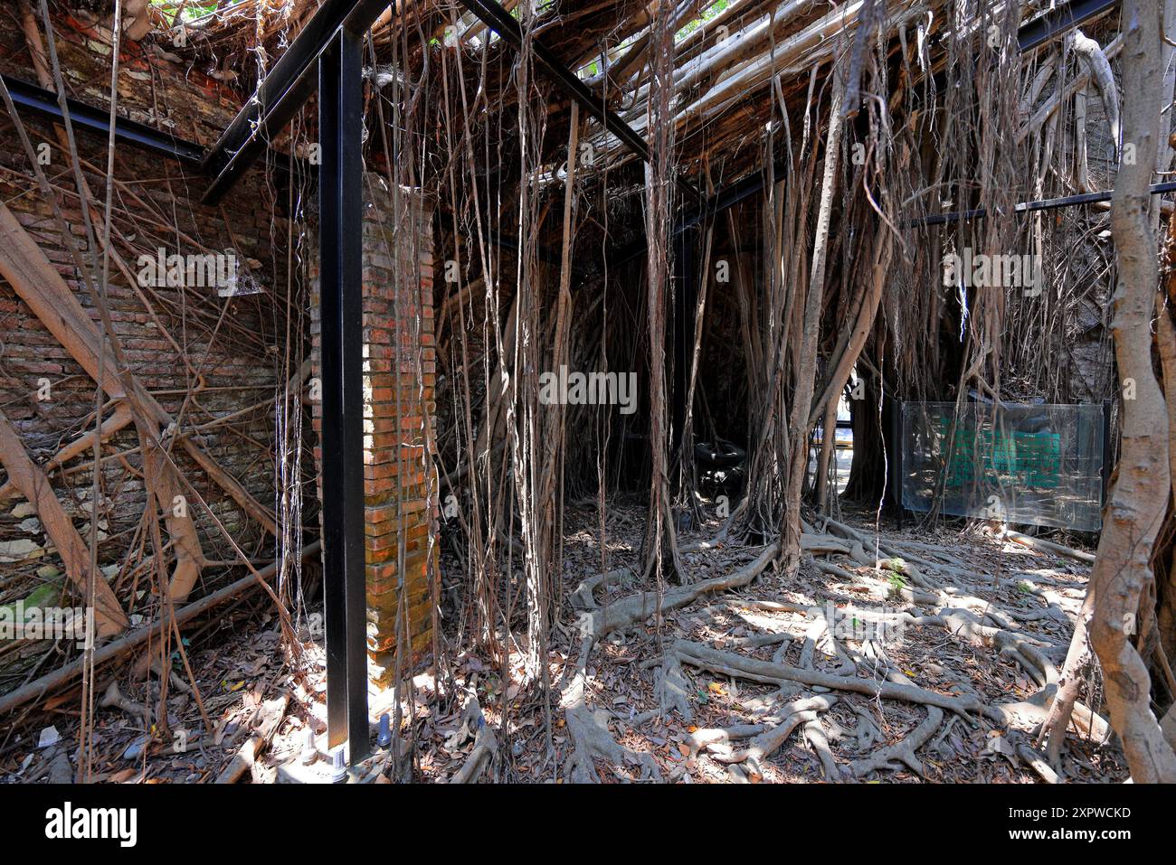 Anping Tree House, a former warehouse overgrown with banyan trees at ...