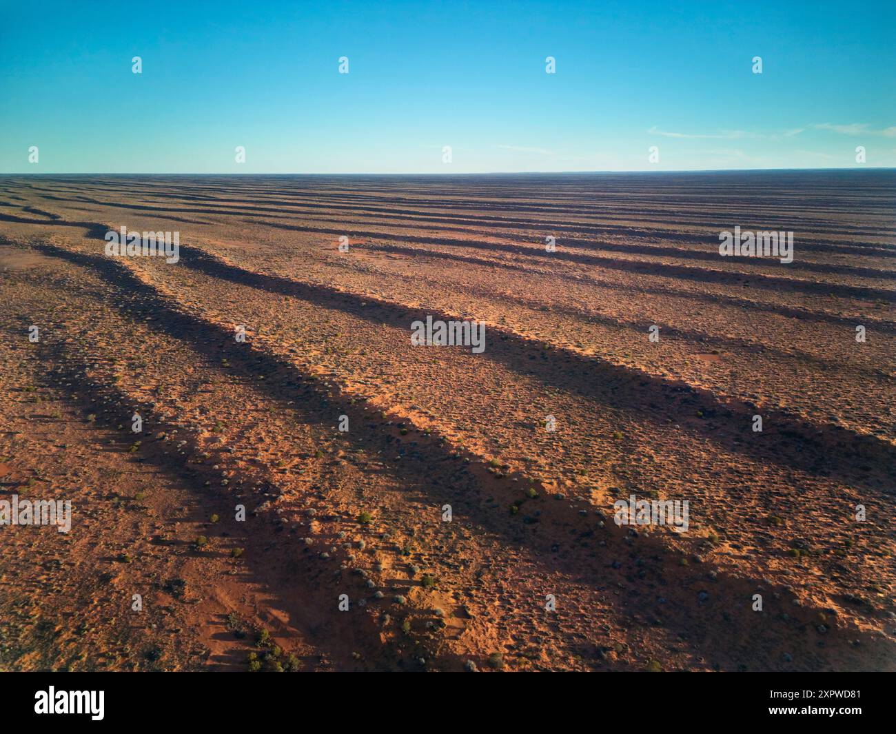 Parallel dunes, Simpson Desert, outback South Australia, Australia ...