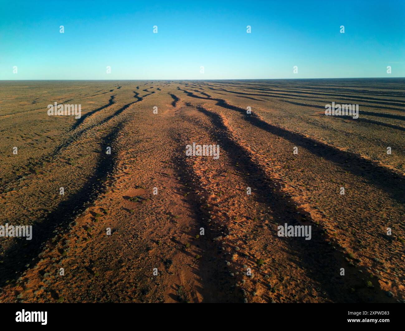 Parallel dunes, Simpson Desert, outback South Australia, Australia ...