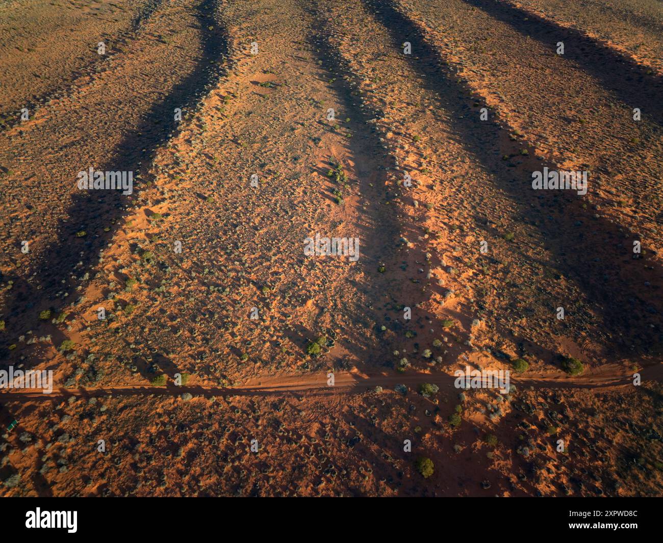 The French Line, crossing parallel dunes, Simpson Desert, outback South ...