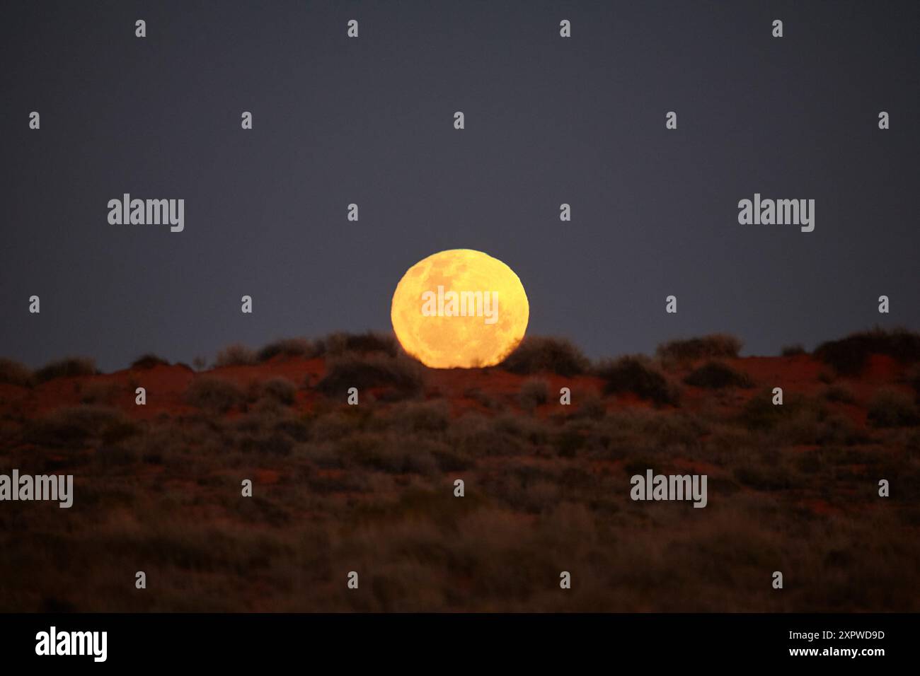 Moon rise, Munga-Thirri–Simpson Desert National Park, Simpson Desert ...