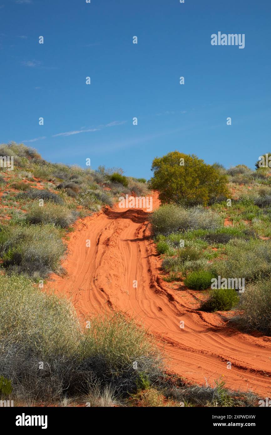 The French Line Track across dunes, Munga-Thirri–Simpson Desert ...