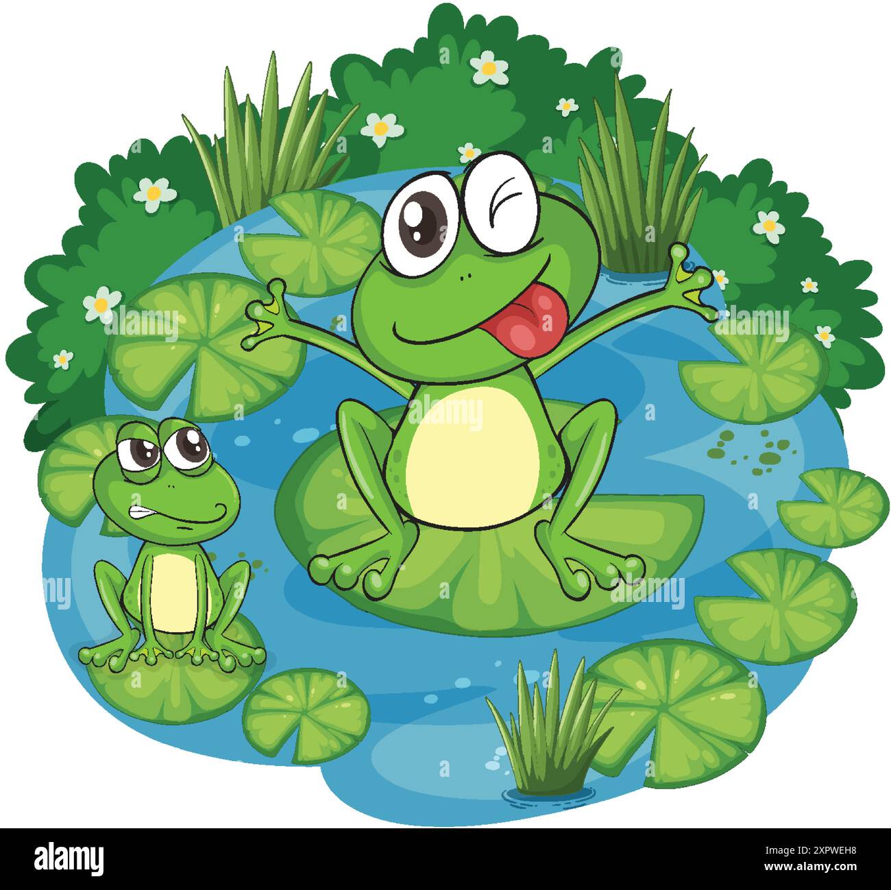 Two frogs on lily pads in a pond Stock Vector Image & Art - Alamy