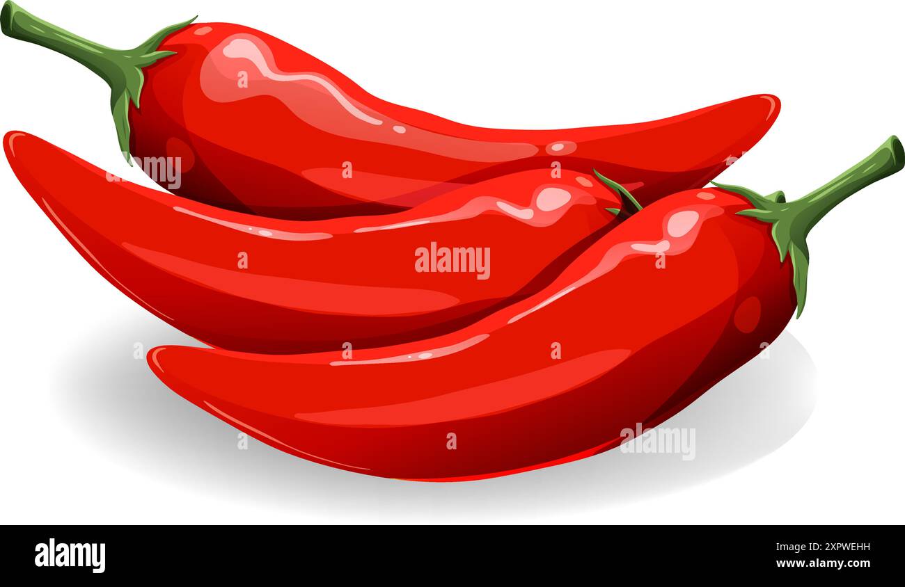 Three vibrant red chili peppers vector illustration Stock Vector Image ...