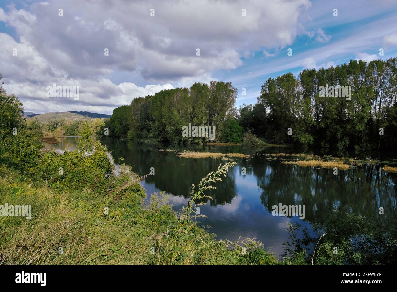 West Morava river bank reflection, Lake Parmenac, central Serbia Stock ...