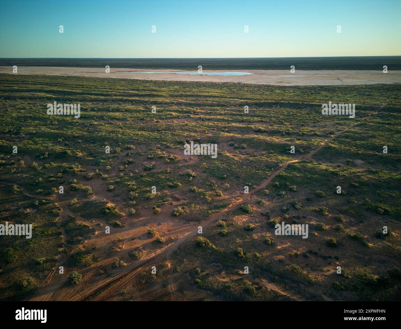 QAA Line and salt pan in distance, Munga-Thirri National Park, Simpson ...