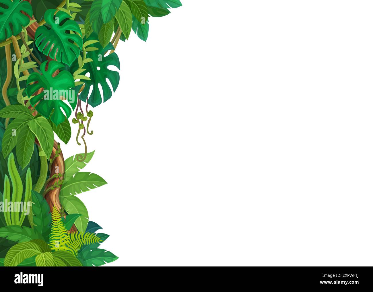 Tropical jungle forest lianas and monstera leaves background, vector ...
