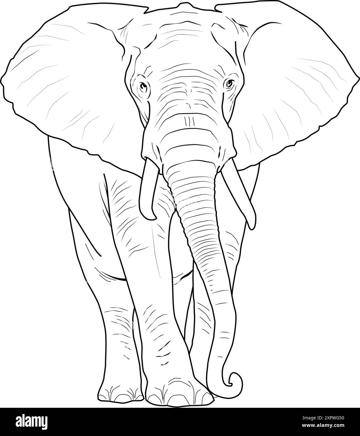 ELEPHANT LINE ART VECTOR 2 Stock Photo - Alamy