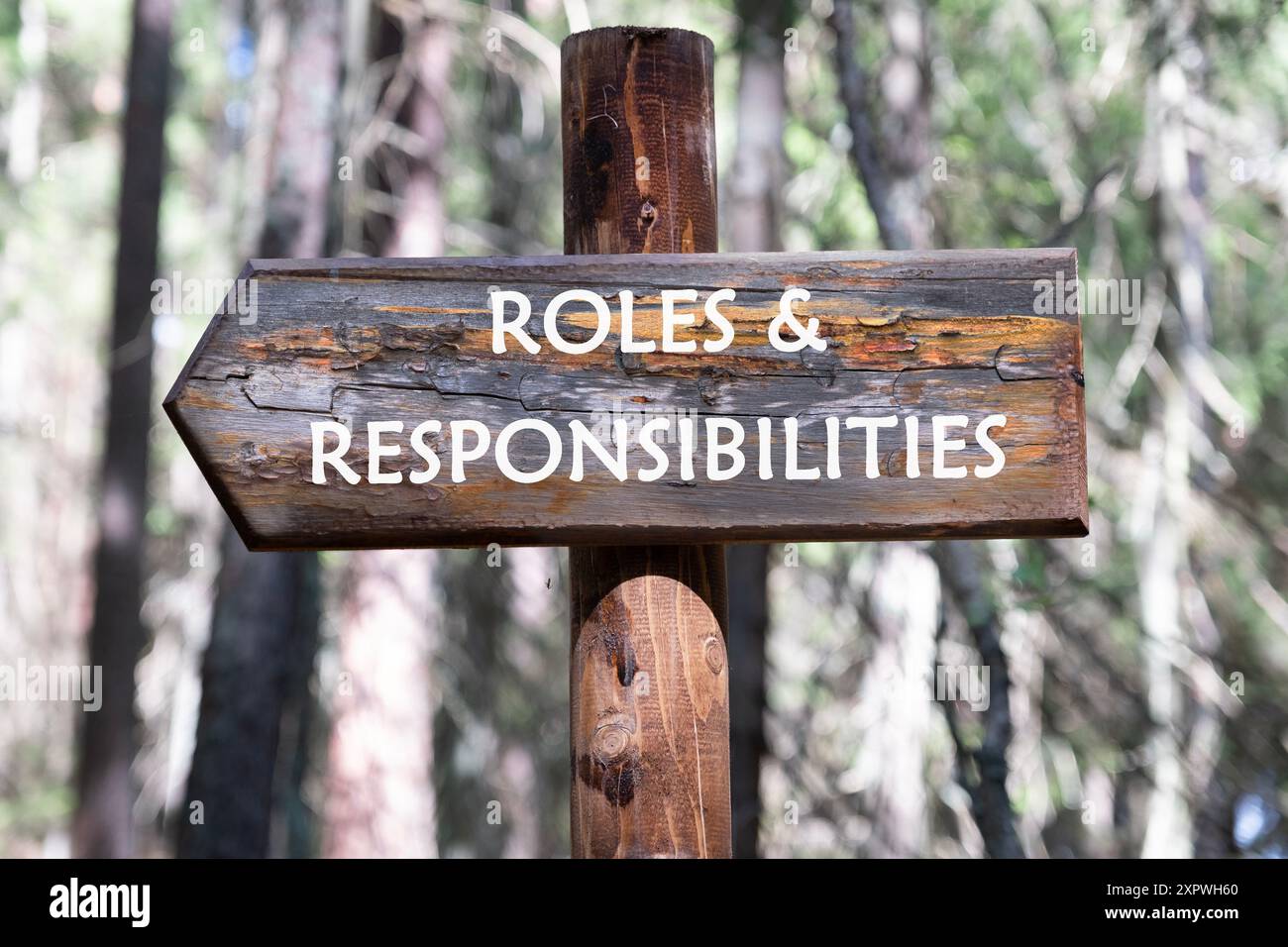 ROLES and RESPONSIBILITIES text written on a wooden signpost against a ...