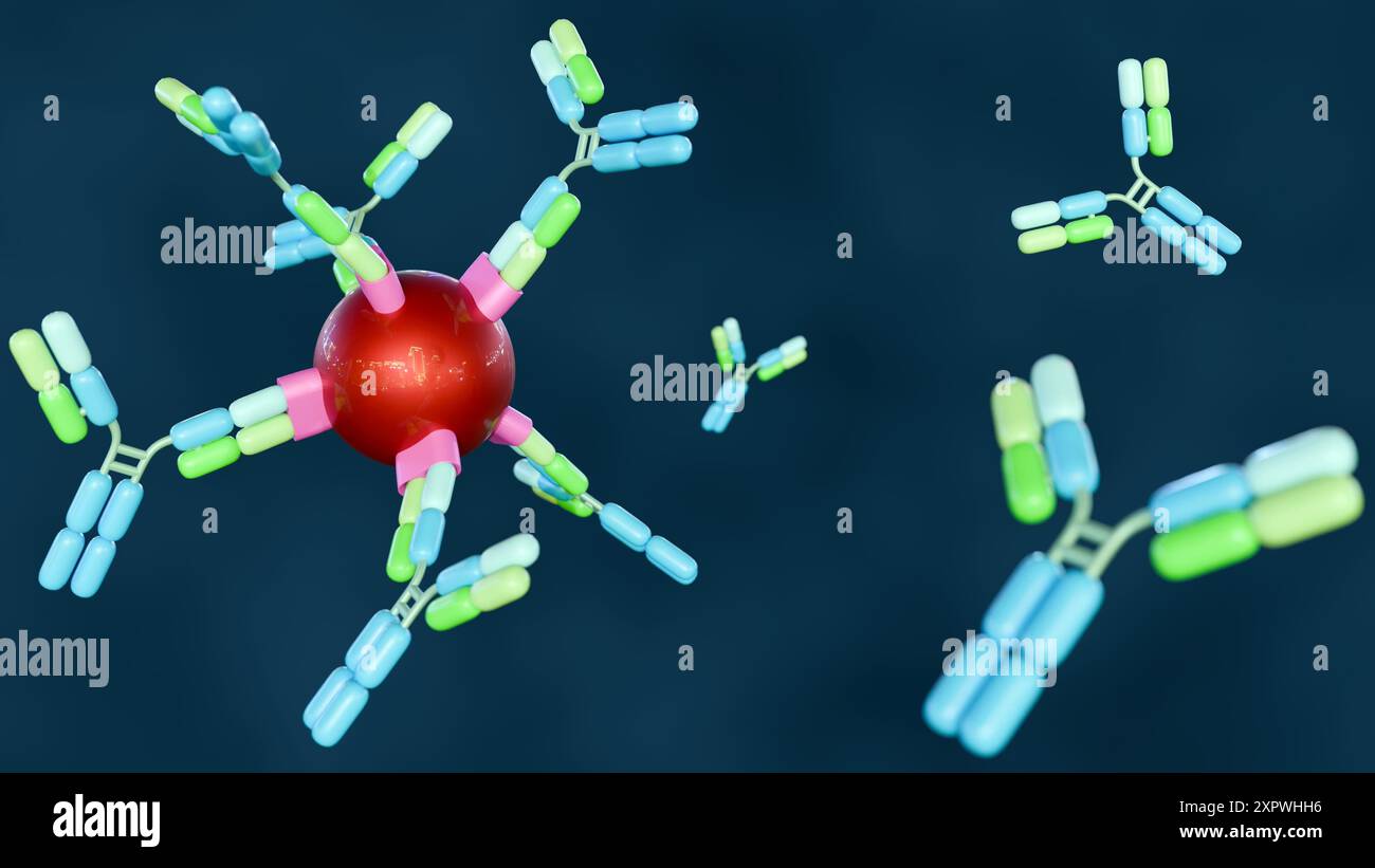 3d rendering of Antigen-antibody complexes, also known as immune ...