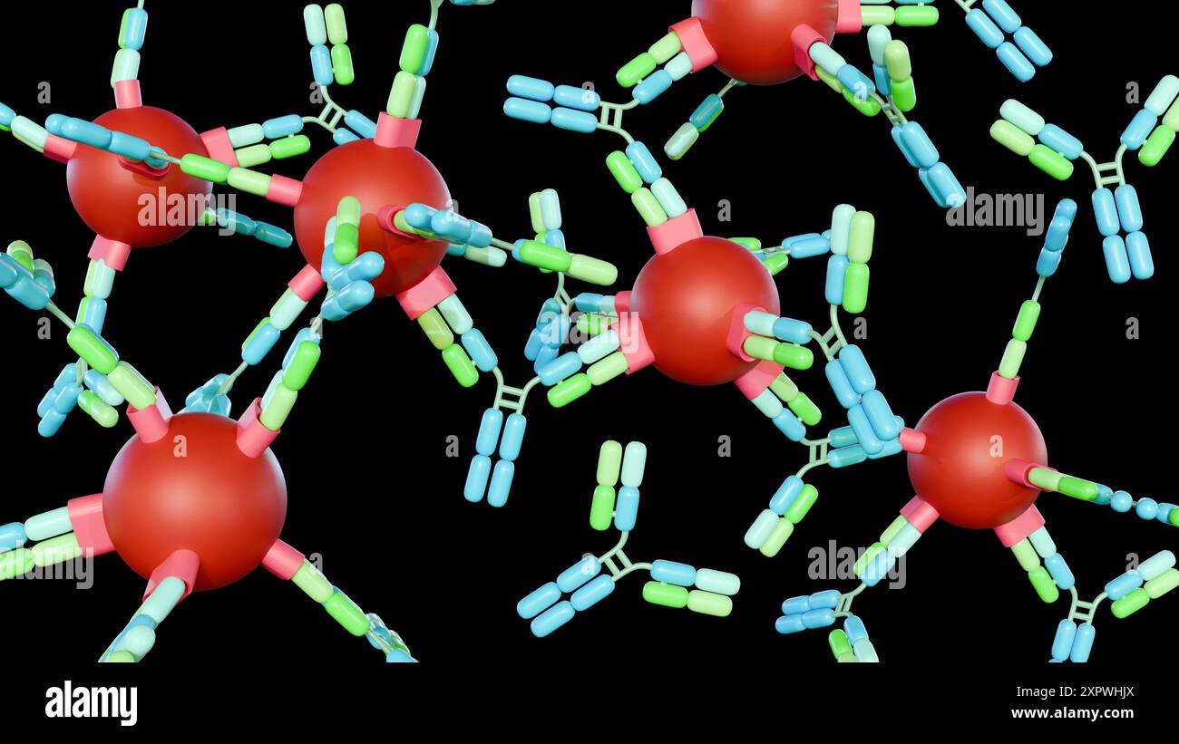 3d rendering of Antigen-antibody complexes, also known as immune ...