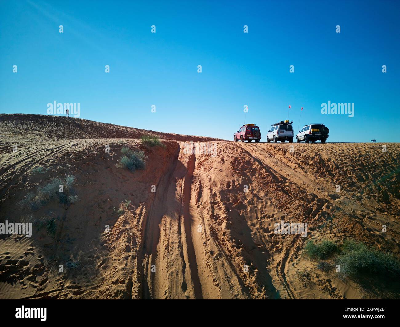 Four wheel drives on top of "Big Red" dune, QAA Line, Simpson Desert ...