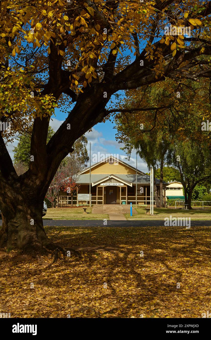 Autumn colour (in winter), and historic Court House, St George, Shire ...
