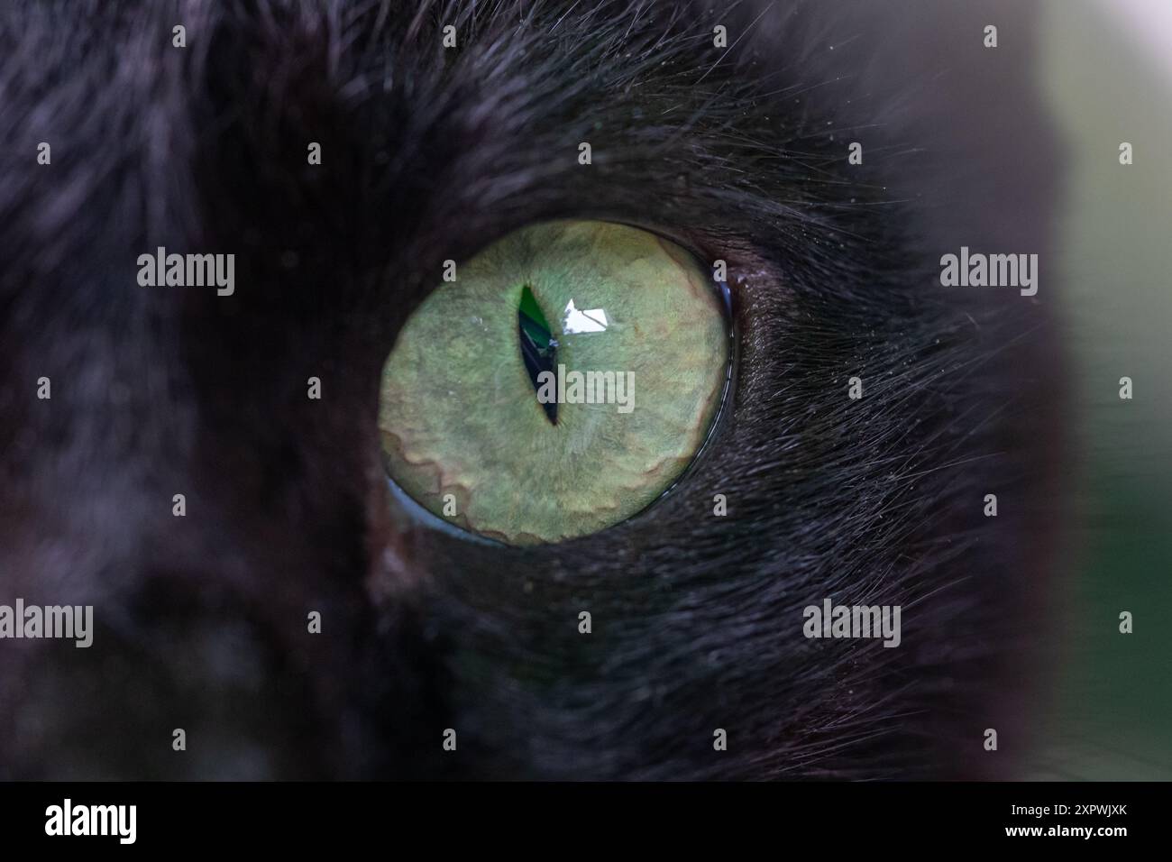 Black female looking up hi-res stock photography and images - Alamy