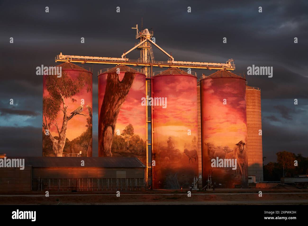 Early light on murals on grain silos (painted by Joel Fergie and Travis ...