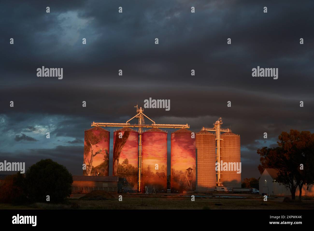 Early light on murals on grain silos (painted by Joel Fergie and Travis ...