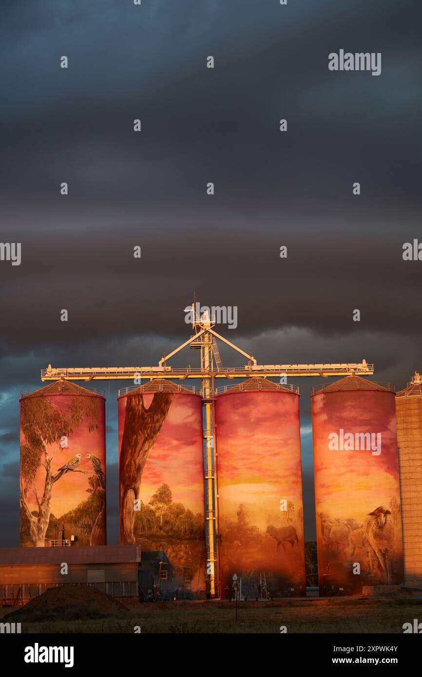 Early light on murals on grain silos (painted by Joel Fergie and Travis ...