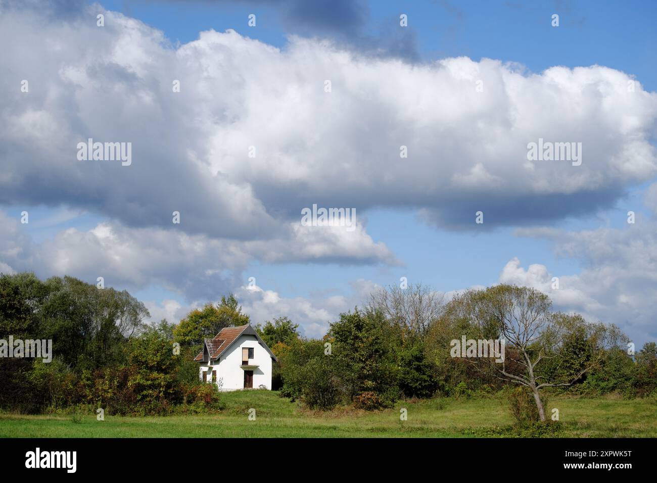 new small house abandoned on the edge of the woods below cloudy sky ...