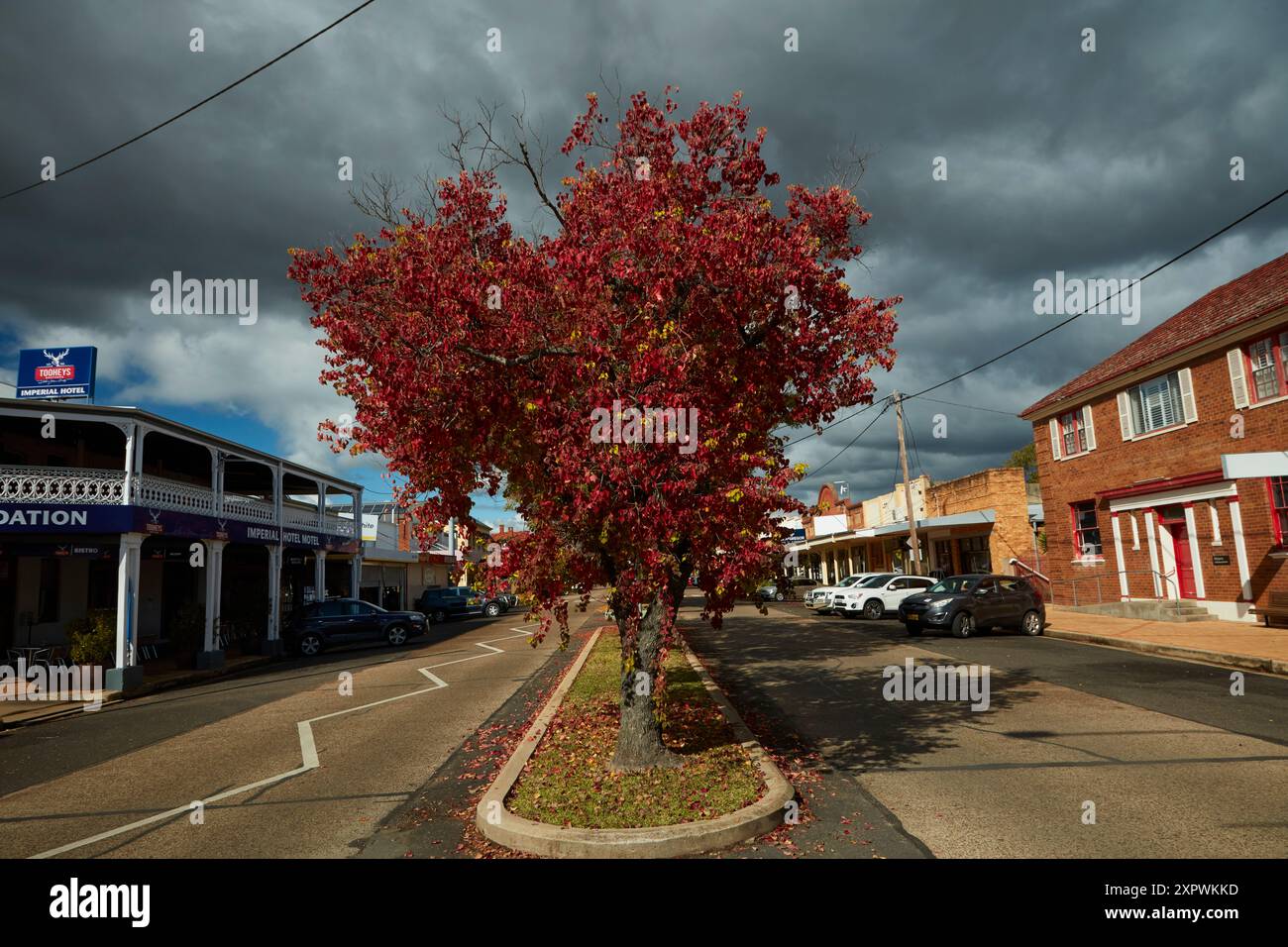 Bingara new south wales hi-res stock photography and images - Alamy