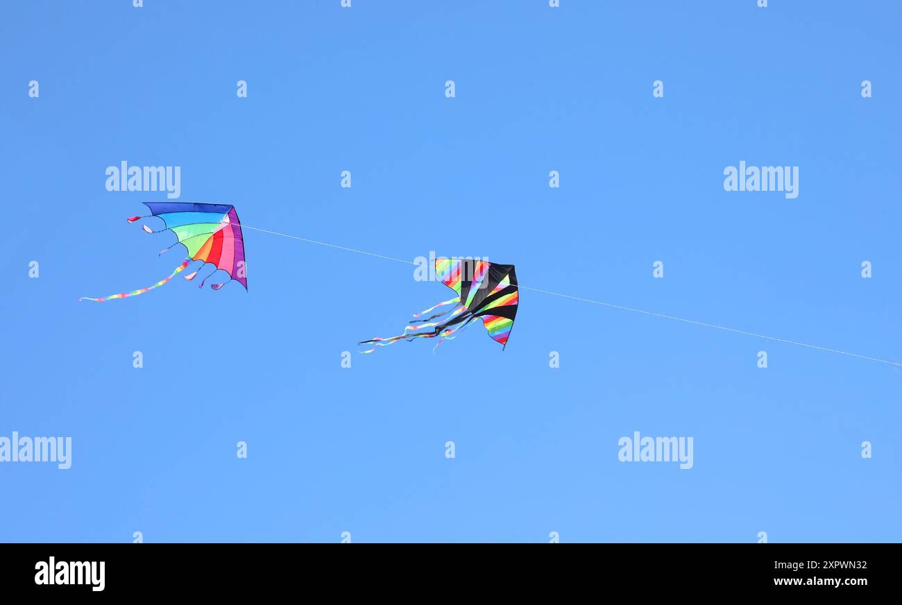 two colorful large kites with rainbow colors flying in the blue sky ...