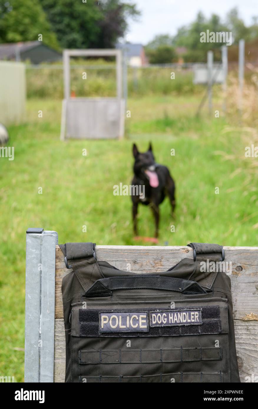 Police investigation unit hi-res stock photography and images - Alamy
