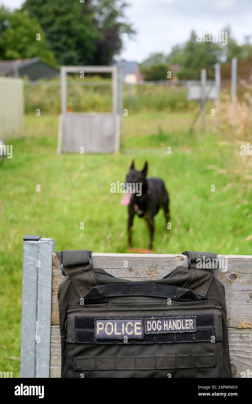 A Police dog handler vest, UK Stock Photo - Alamy