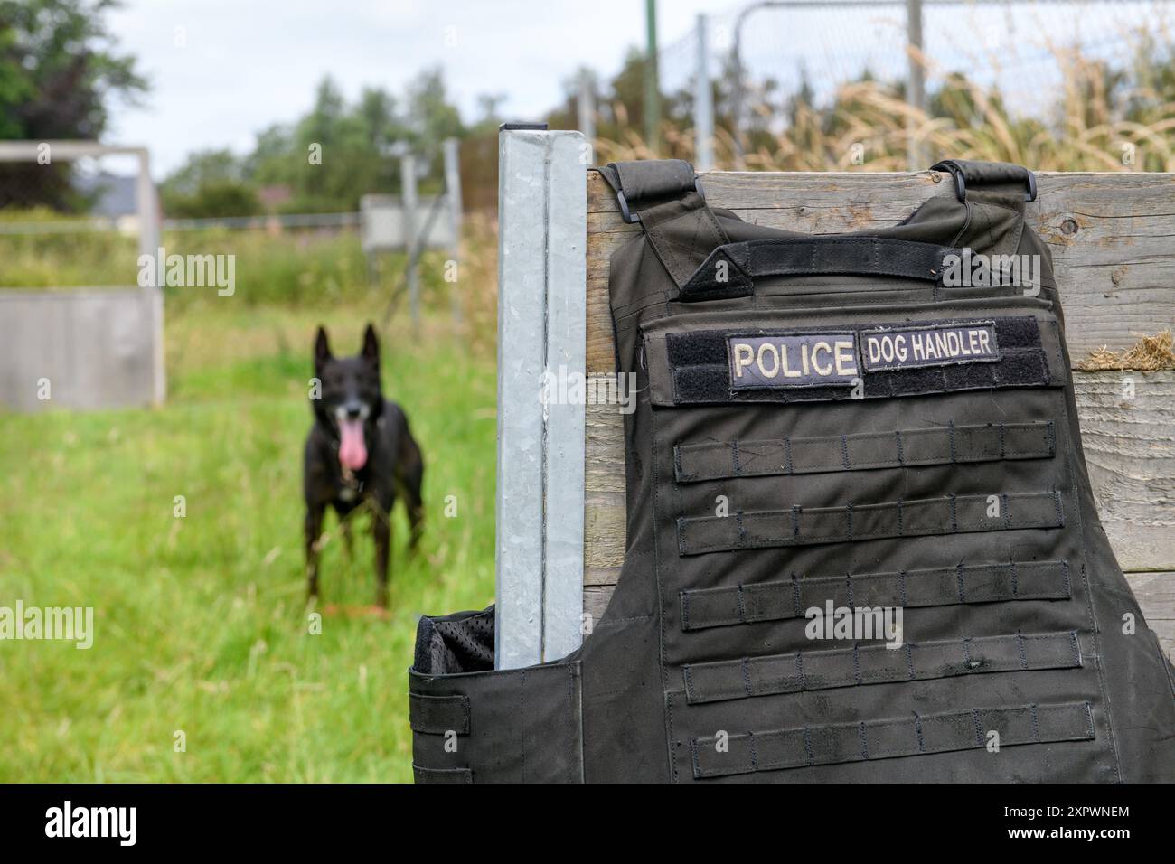 Police dog handler vest hi-res stock photography and images - Alamy