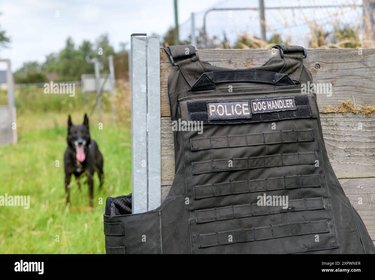A Police dog handler vest, UK Stock Photo - Alamy