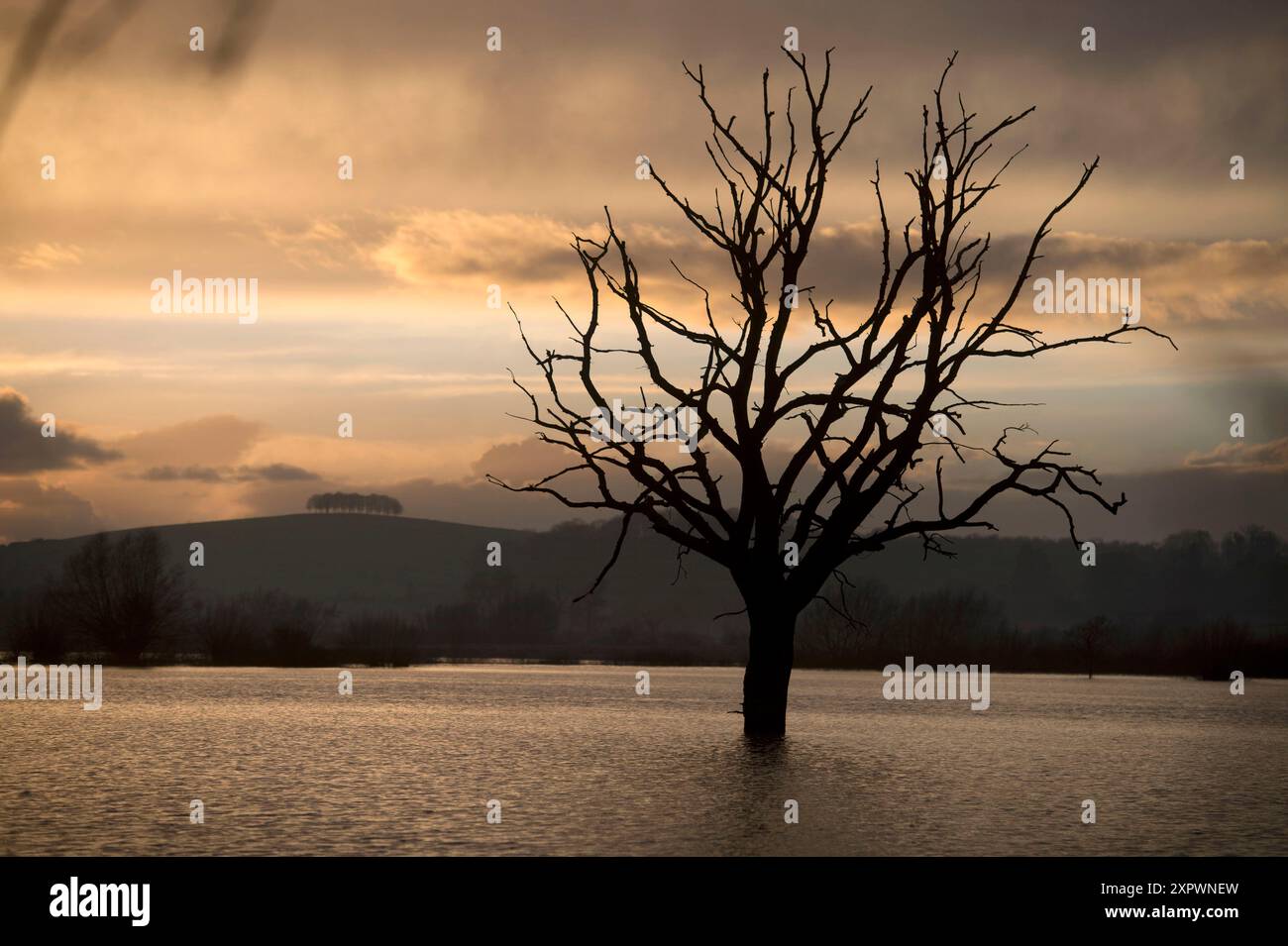 River severn floodwaters hi-res stock photography and images - Alamy