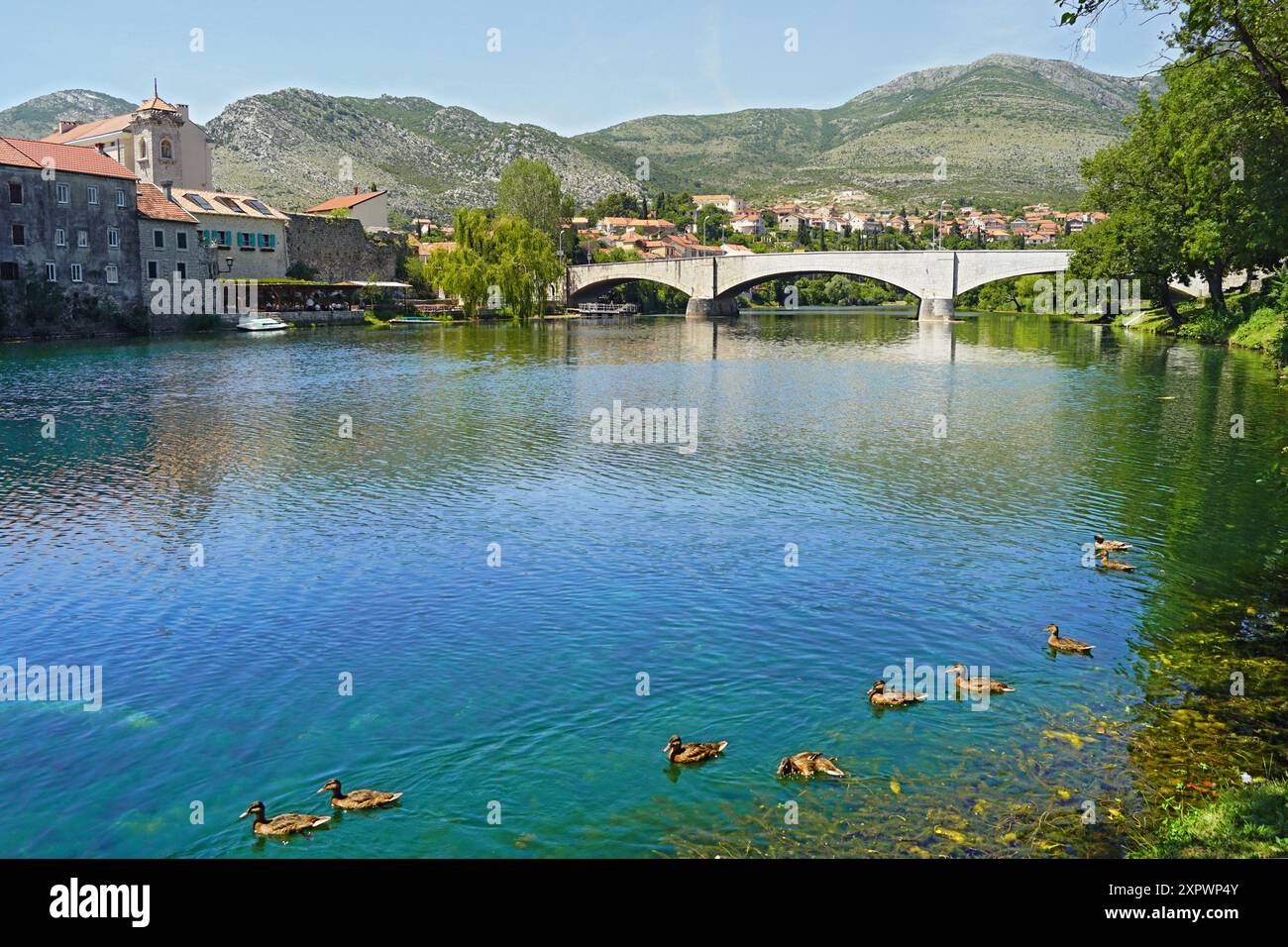 Summer on the Trebišnjica River: view of the Old Town of Trebinje, the ...