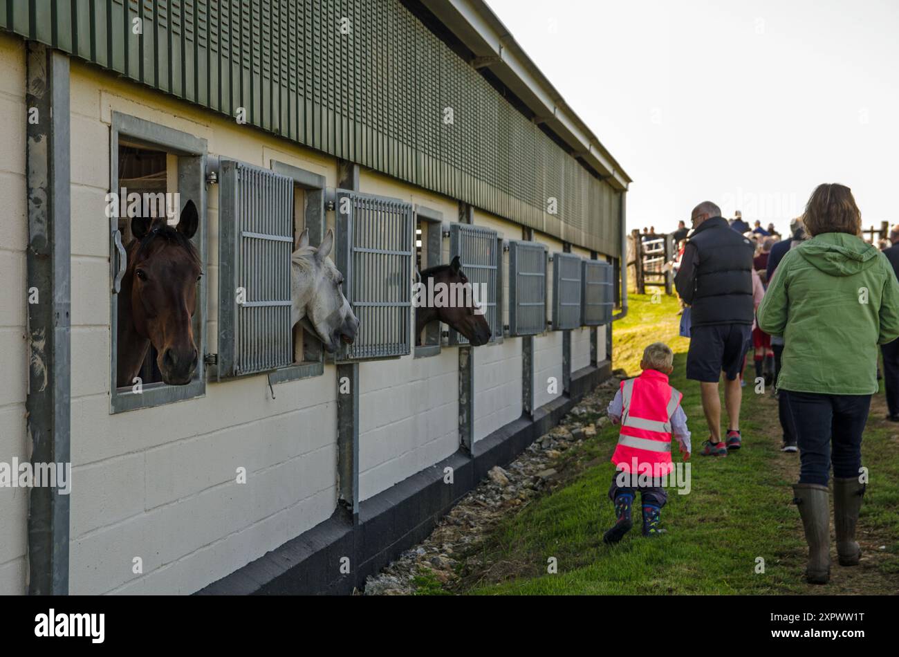 September 17, 2022: Racehorses looking at visitors to an open day at ...