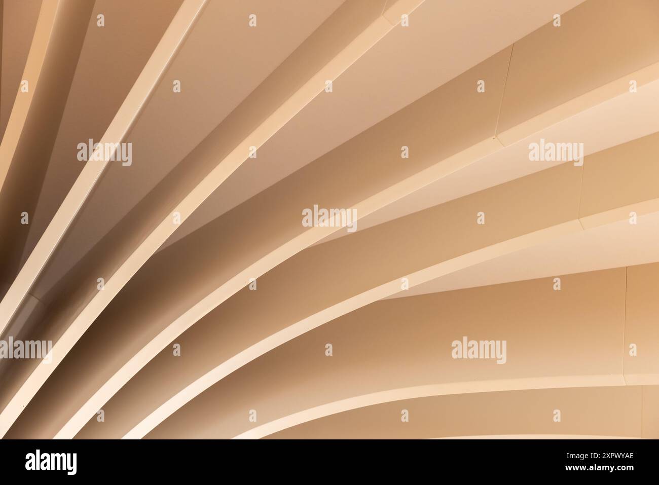 Abstract geometric architecture background photo, parametric ceiling ...