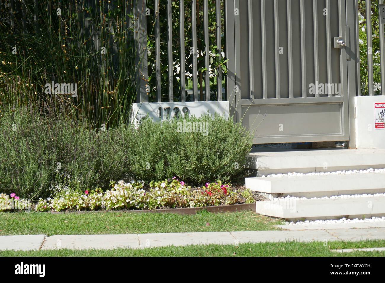 Beverly Hills, California, USA 7th August 2024 Actor Jack Mulhall ...